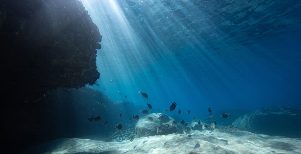 Subsea Equipment for Marine Science