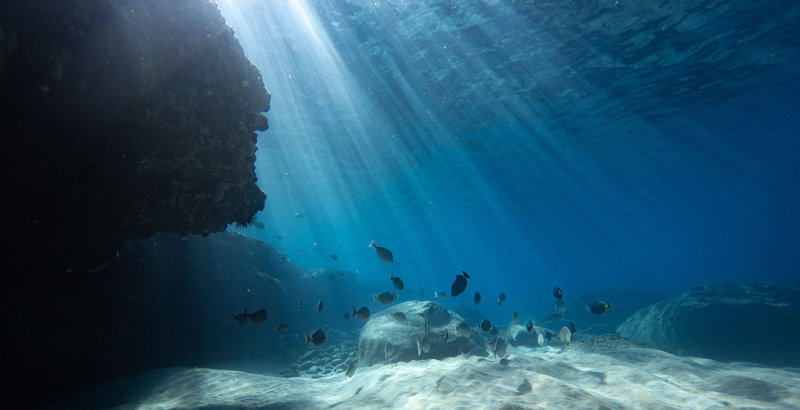 Subsea Equipment for Marine Science