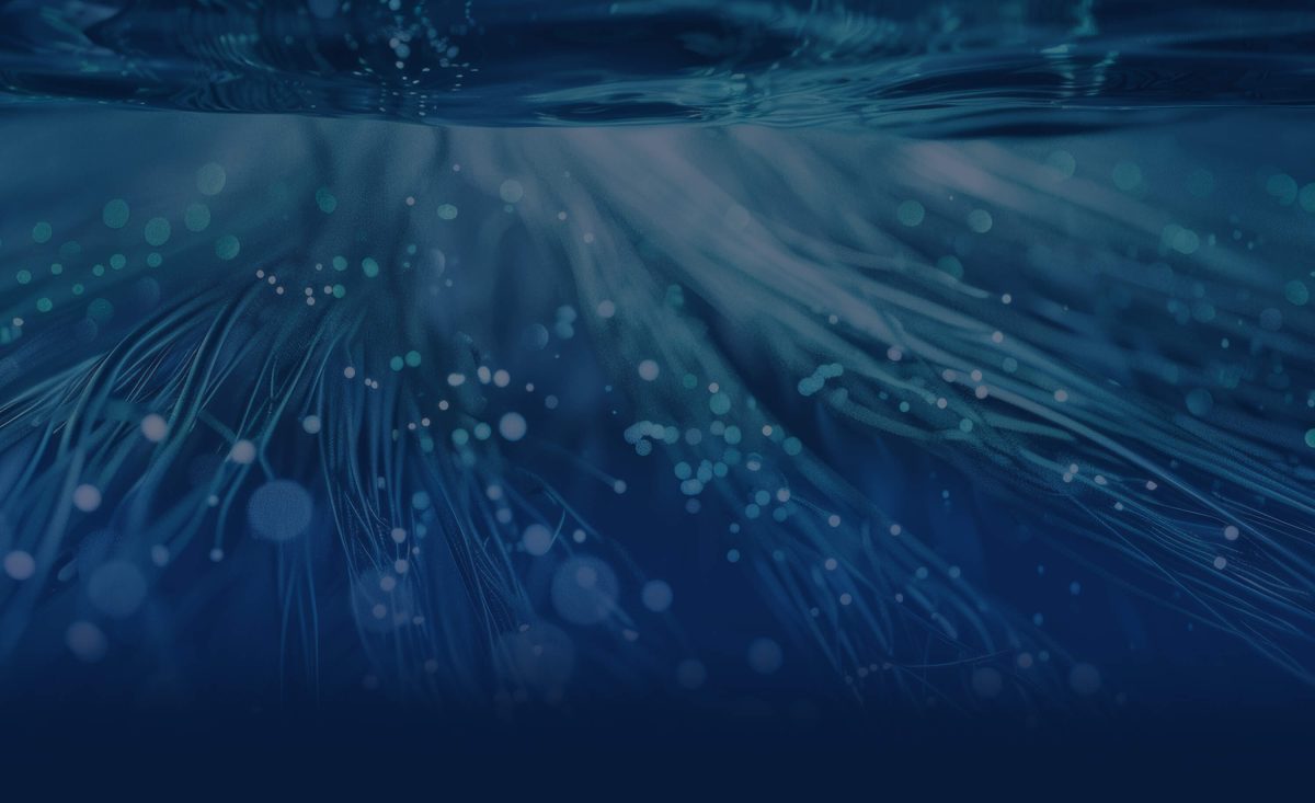 Innovation for Subsea Engineering