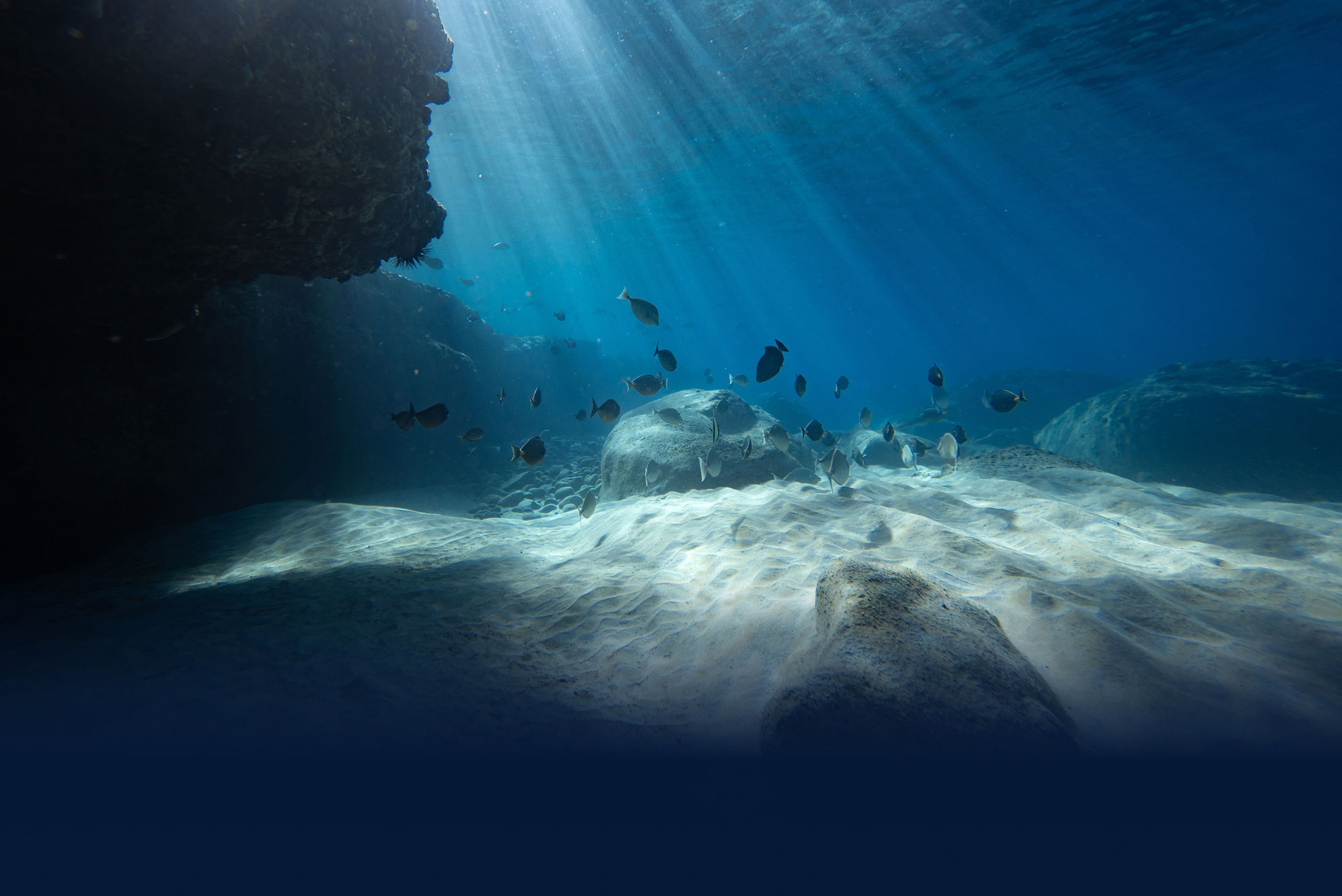 A Renowned Subsea Equipment Rental Provider