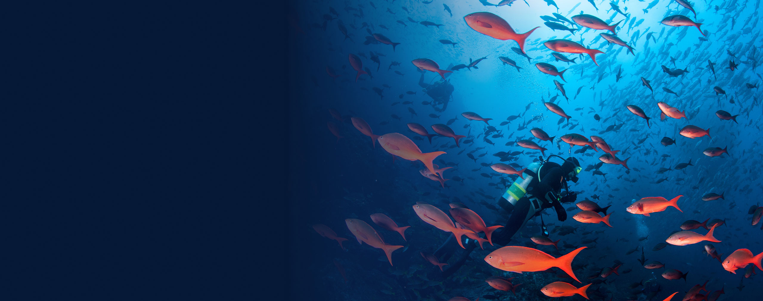 Subsea Equipment for Marine Science